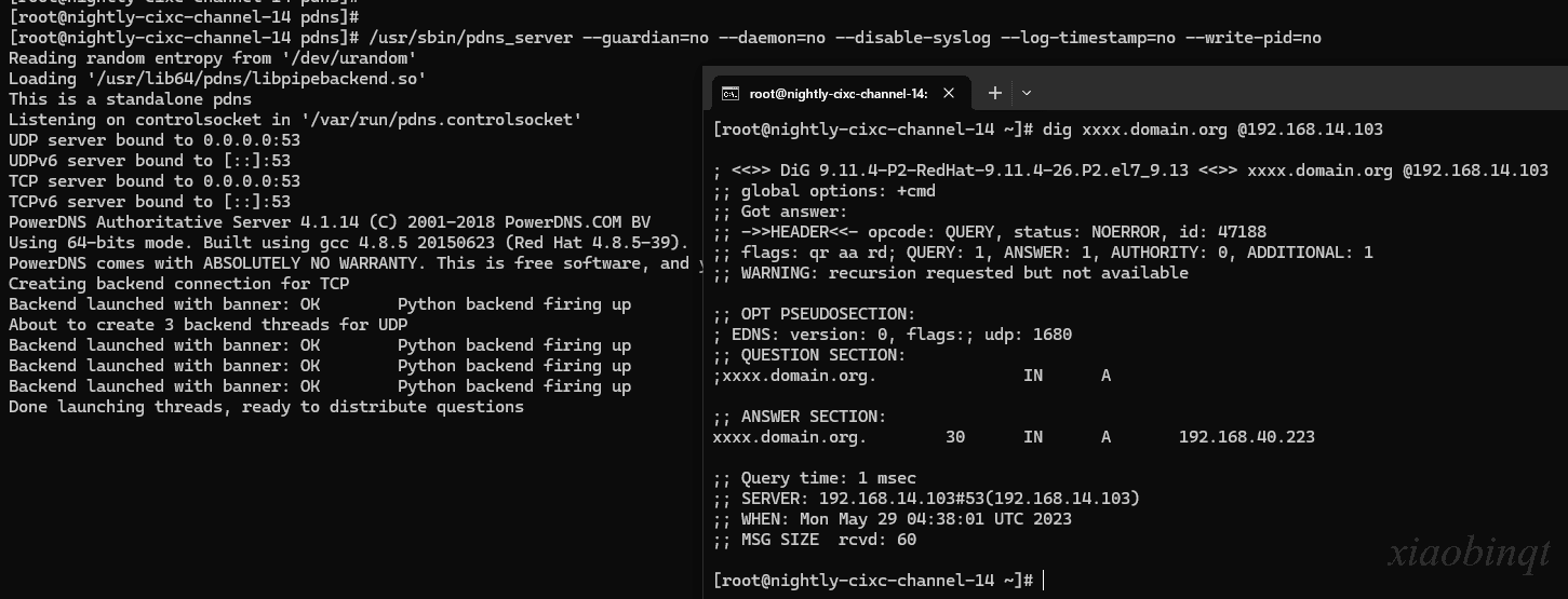 Docker Bridge 网络与自定义 Dns 解析 Xiaobinqt 博客 技术改变生活